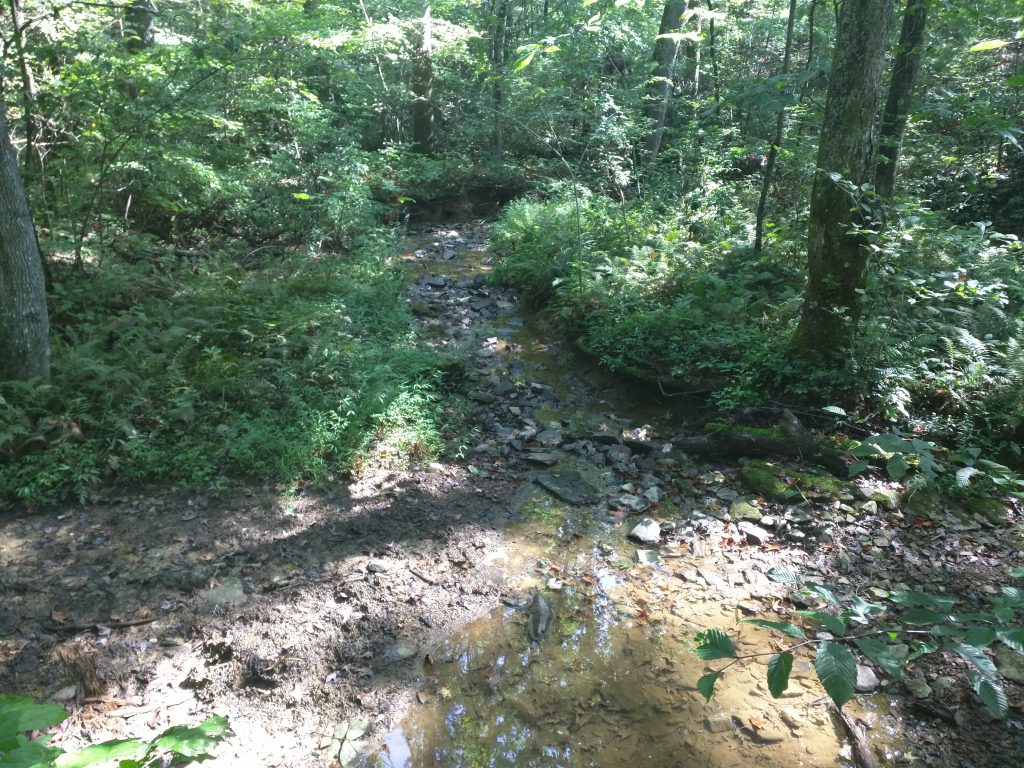 Hiking Trails: Lone Mountain State Forest - dylanwolf.com